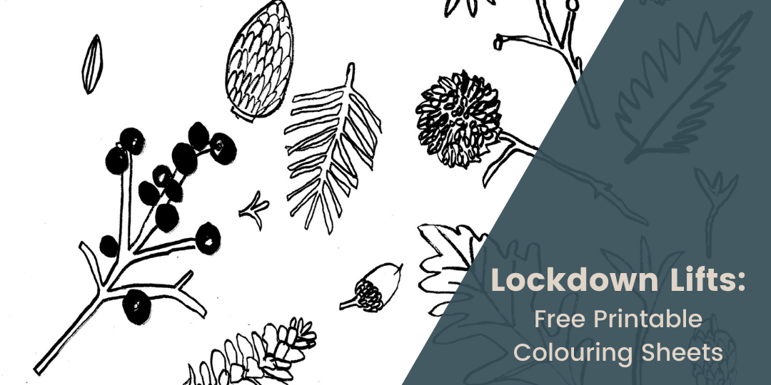 Lockdown Lifts: Free Printable Colouring Sheets – RUSKIN